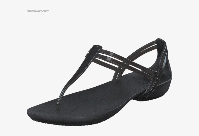 Crocs - Free Transparent PNG Download - PNGkey