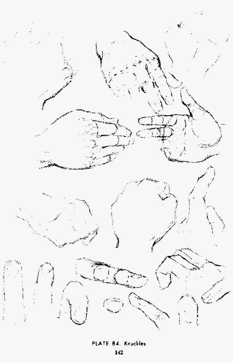 This Free Icons Png Design Of Andrew Loomis Drawing - Free Transparent ...