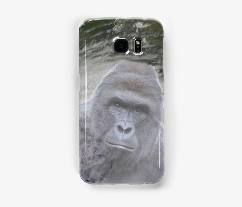 Harambe - Free Transparent PNG Download - PNGkey