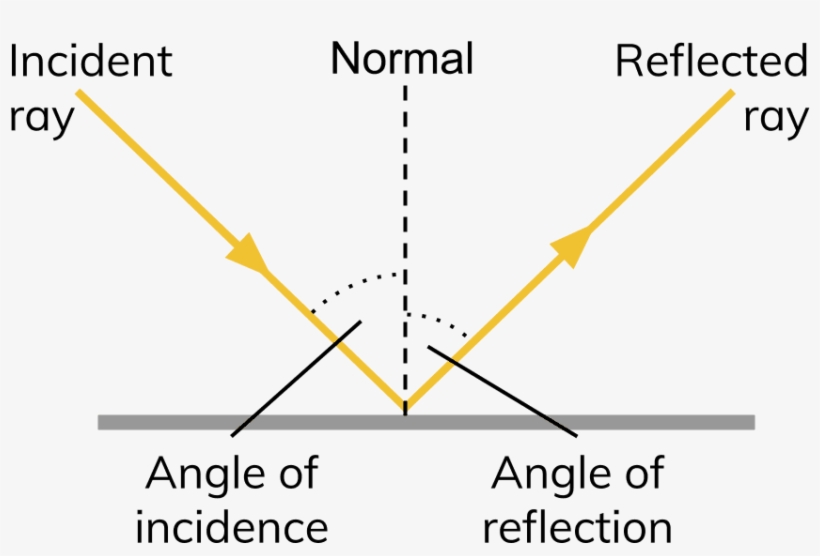 Diagram Of A Light Ray Being Reflected By - Diagram - Free Transparent ...