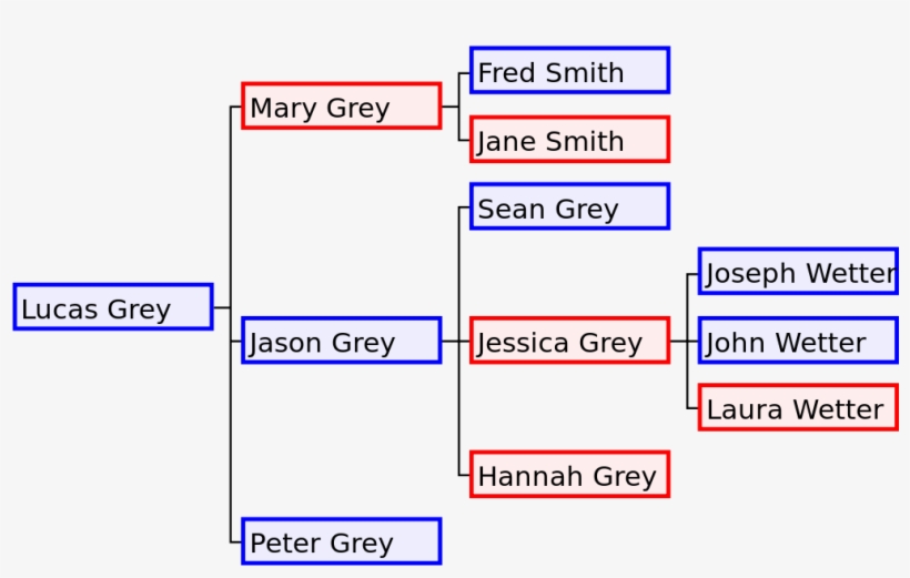 Java Family Tree - Free Transparent PNG Download - PNGkey