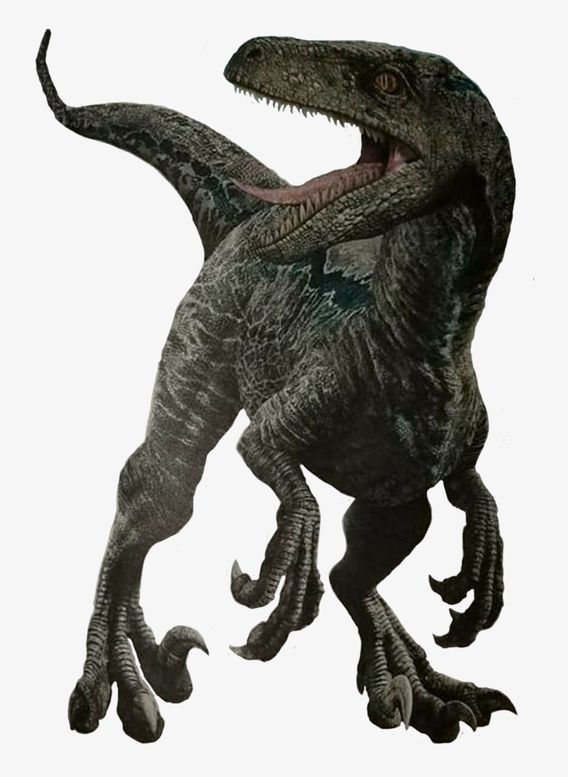 Unused Velociraptor Render By Kingrexy-dci8cb0 - Free Transparent PNG ...