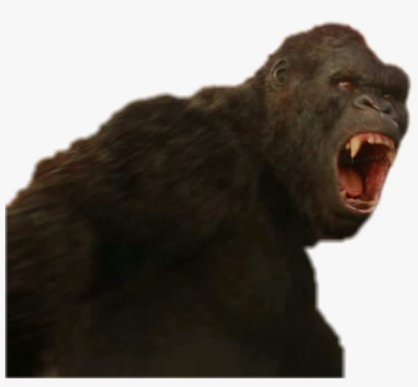 Kong Png - Kong Skull Island Png - Free Transparent PNG Download - PNGkey