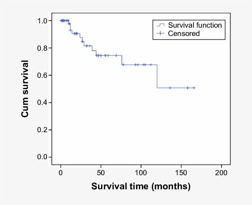 Simultaneous Surgery Patients' Survival Curve - Diagram - Free ...