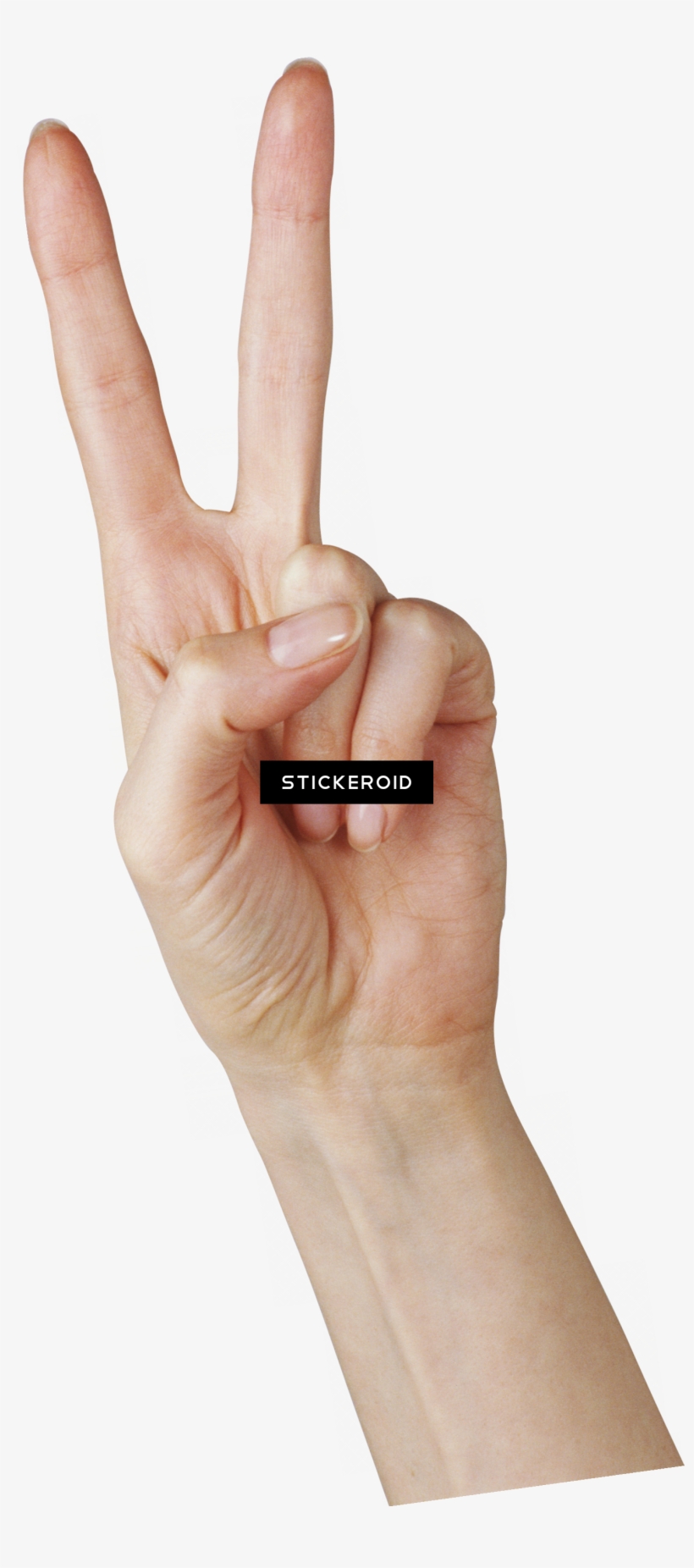 Hands Hand - Free Transparent PNG Download - PNGkey