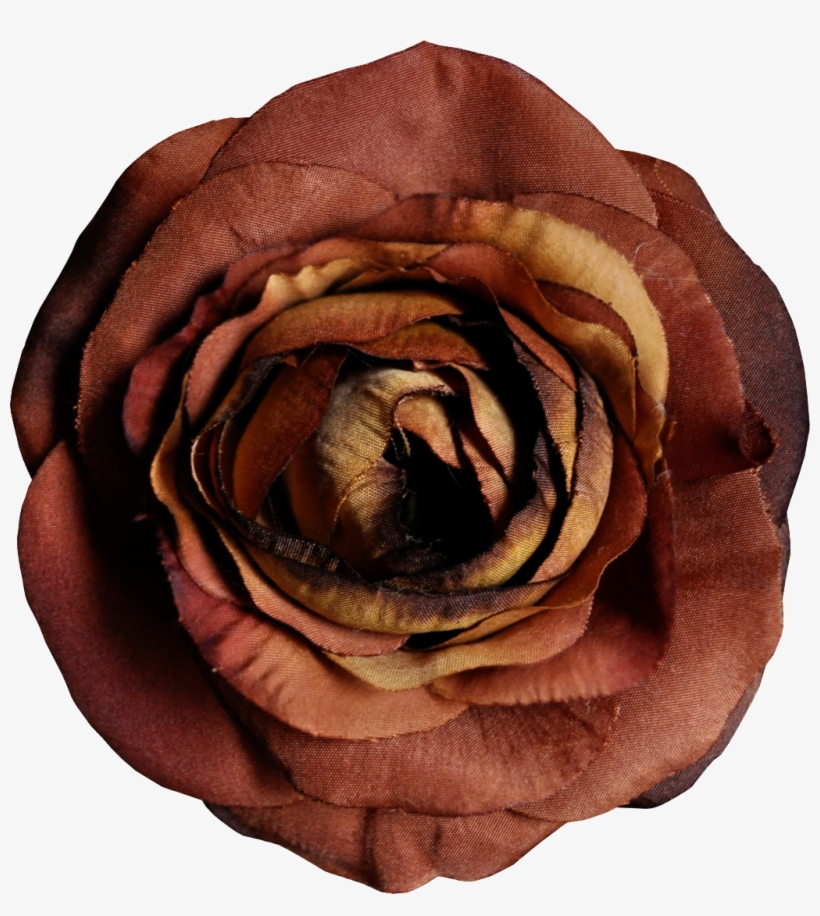 Hand Painted Popular Camel Flower Png Transparent - Free Transparent ...