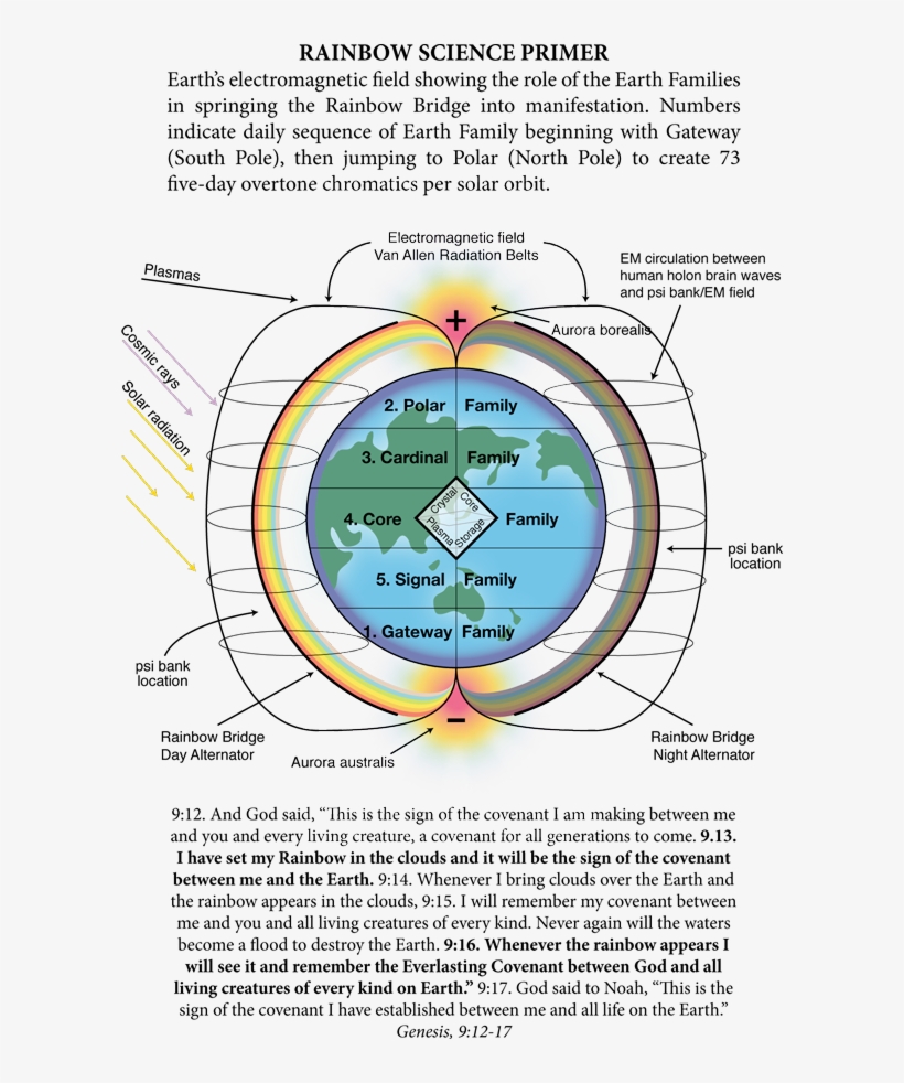 [rainbow Science Primer] - Diagram - Free Transparent PNG Download - PNGkey
