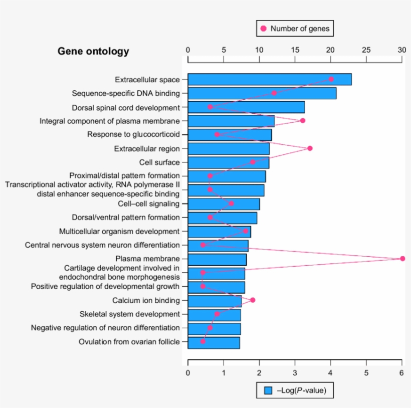 The Red Dot In The Figure Means Number Of Genes - Gene Ontology Term ...