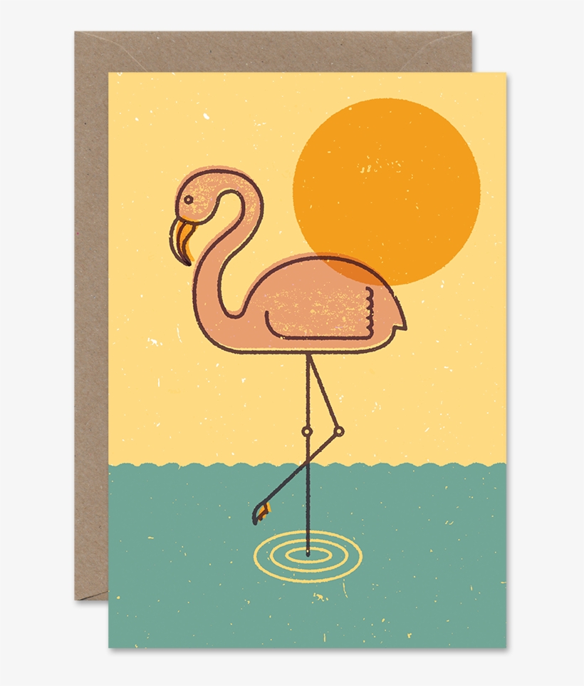 Flamingo V=1494426425 - Bird - Free Transparent PNG Download - PNGkey