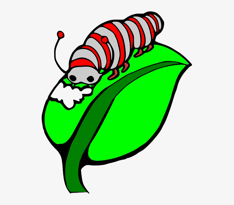 Free Catepillar Clipart