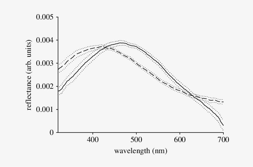 Reflectance Spectra Of Feathers From The Nuptial Plumage - Common Fig - Free Transparent PNG ...