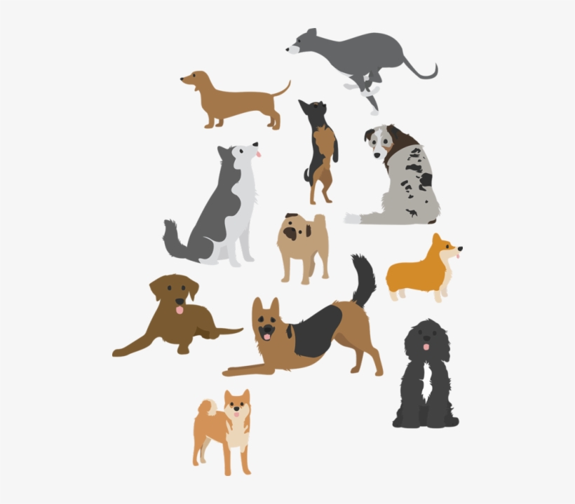 Dog Breed - Free Transparent PNG Download - PNGkey