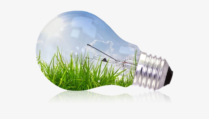 Bulb - Energy - Free Transparent PNG Download - PNGkey
