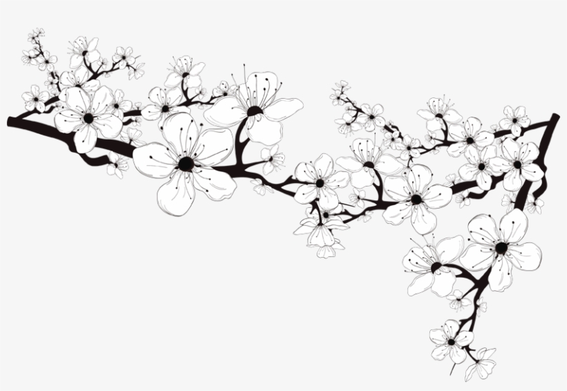Header-flowers - Black And White Flower Png - Free Transparent PNG ...