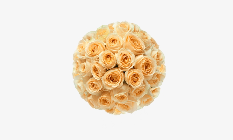 Flower Vase Top View Png - Free Transparent PNG Download - PNGkey