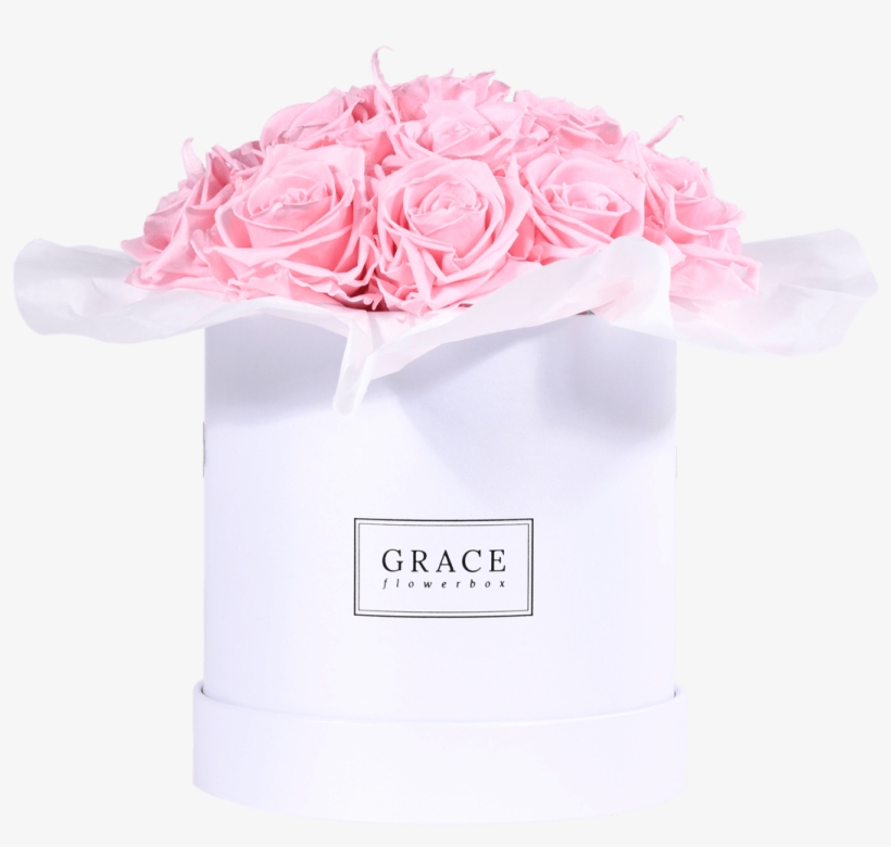 Article - Free Transparent PNG Download - PNGkey