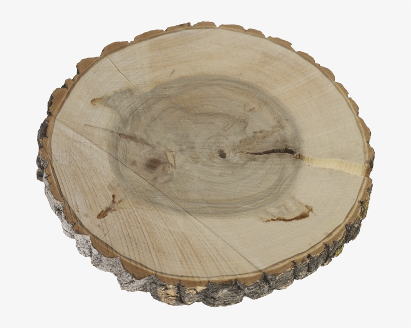 Slice Png Poplar Base With Banner Free - Poplar Wood - Free Transparent ...