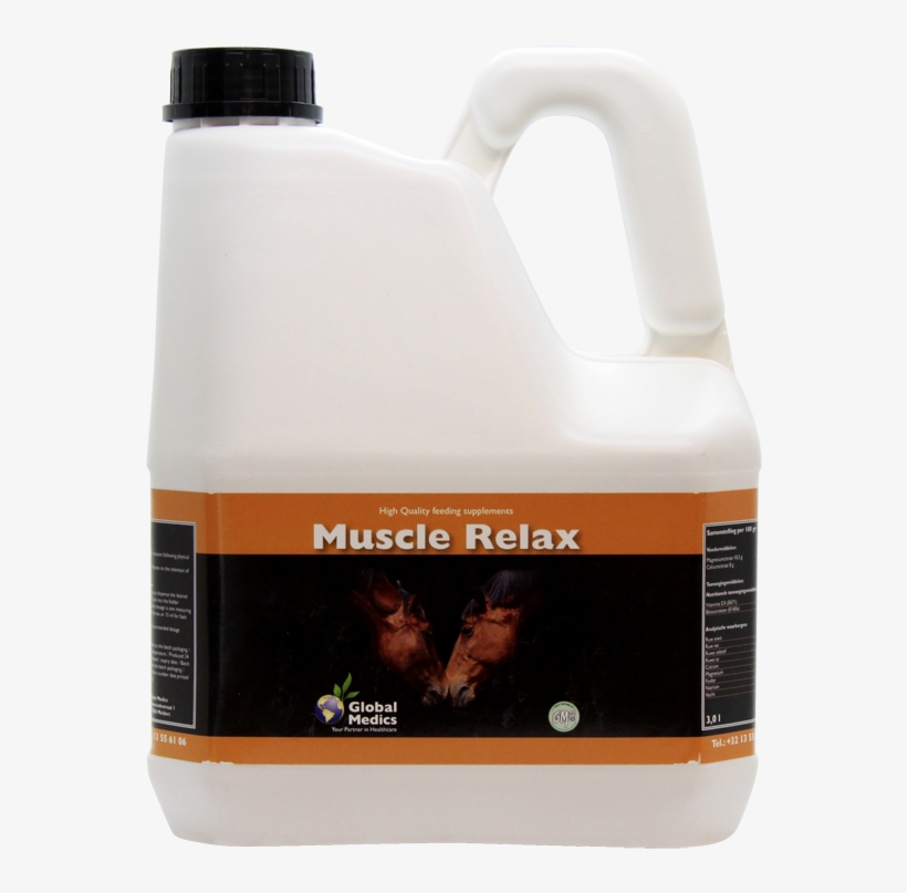 Muscle Relax - Horse - Free Transparent PNG Download - PNGkey