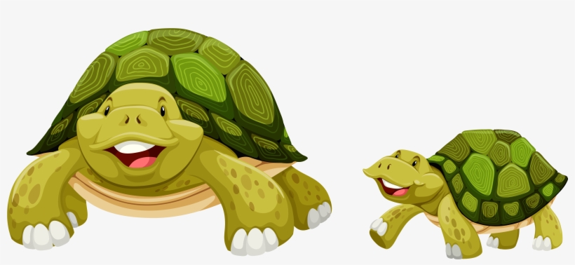 Old Turtle Png - Turtle Cartoon - Free Transparent PNG Download - PNGkey