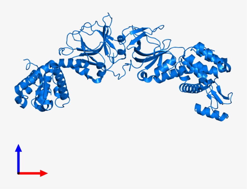pdb Entry 4exm Contains 2 - Graphic Design - Free Transparent PNG ...