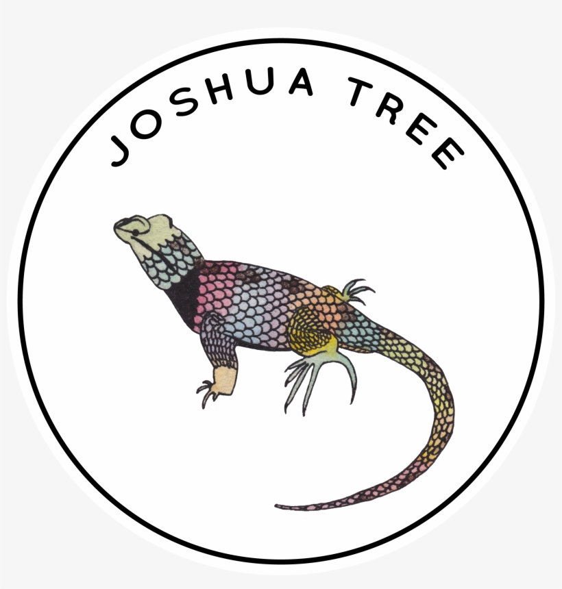 Rated - Free Transparent PNG Download - PNGkey