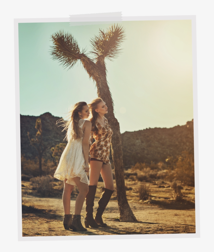 Joshua Tree Both - Free Transparent PNG Download - PNGkey