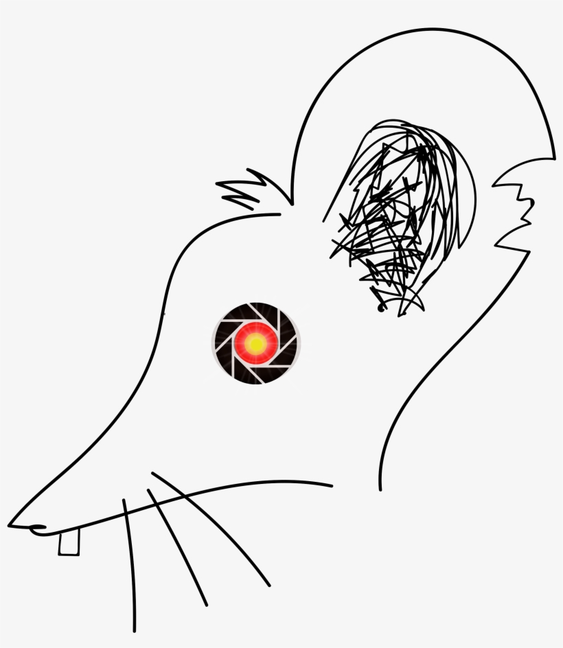 Lab Rat Studios - Rat - Free Transparent PNG Download - PNGkey