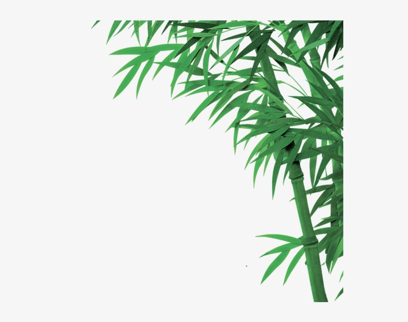 Bamboo Png, Download Png Image With Transparent Background, - 竹子 水墨 背景 ...