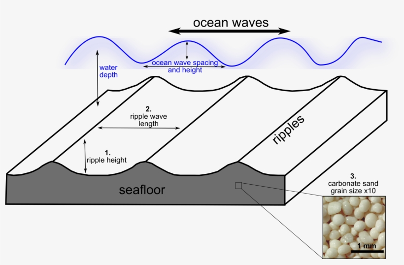 This Diagram Shows What Components Of A Wave Ripple - Drawing - Free ...
