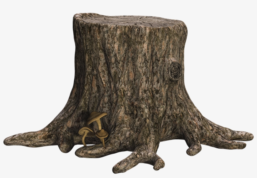 Tree Stump Png - Free Transparent PNG Download - PNGkey