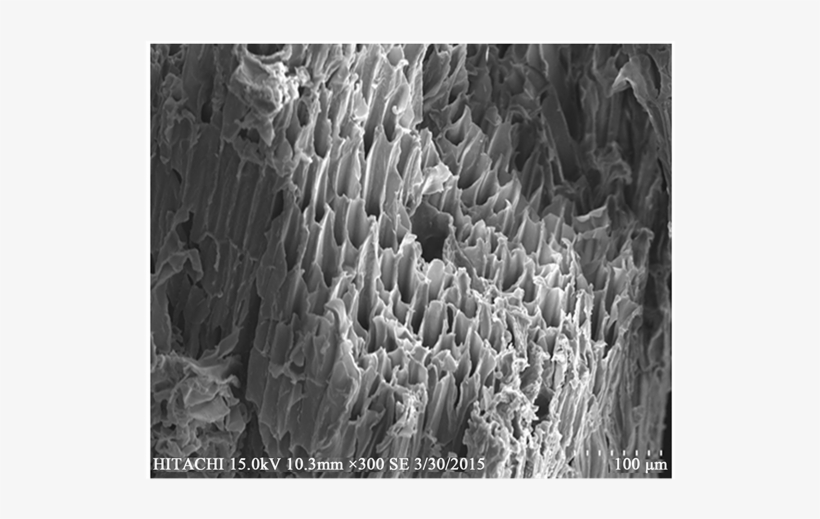 Sem Images Nkcf And (b) Qkcf - Monochrome - Free Transparent PNG ...