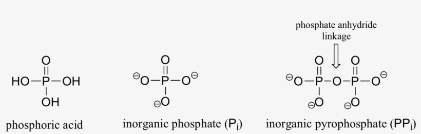 Image002 - Free Transparent PNG Download - PNGkey