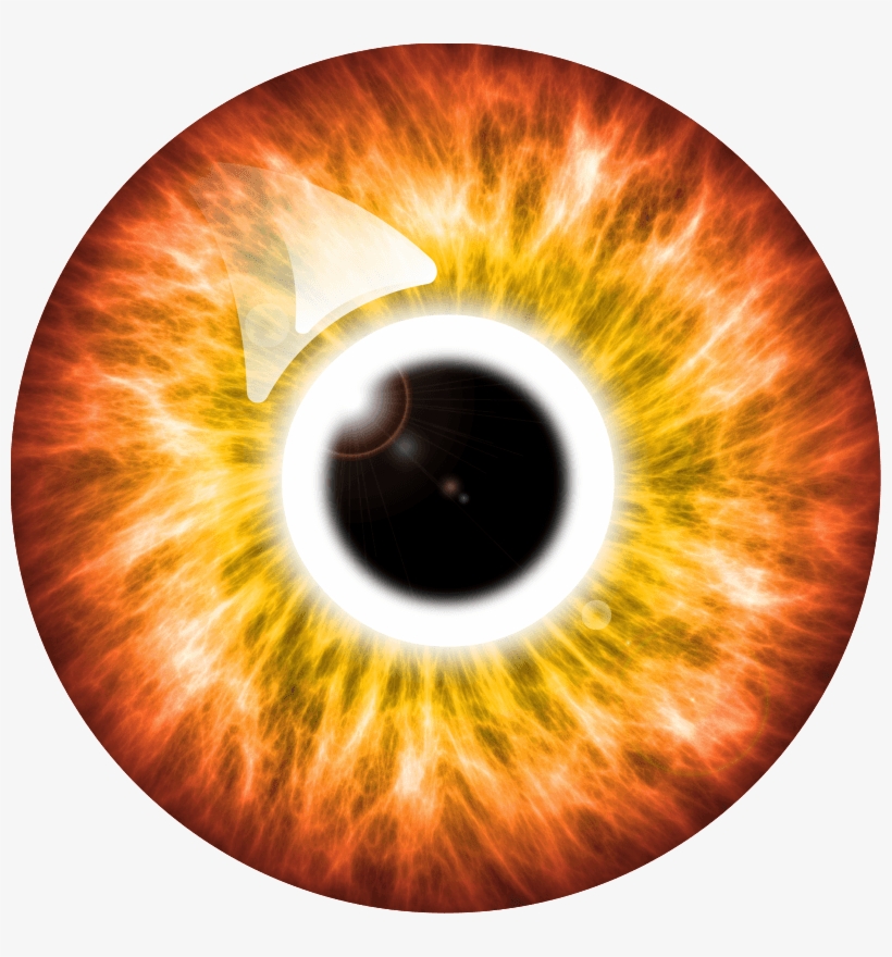 Training - Pupil - Free Transparent PNG Download - PNGkey