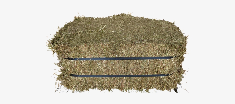 Timothy Compressed Hay 29 Sep 2017 - Grass - Free Transparent PNG ...