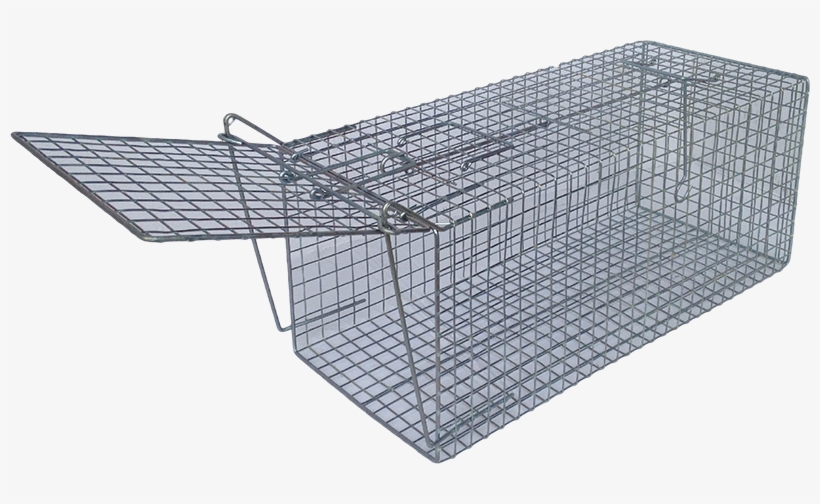 Possum Trap - Possum Trap Png - Free Transparent PNG Download - PNGkey