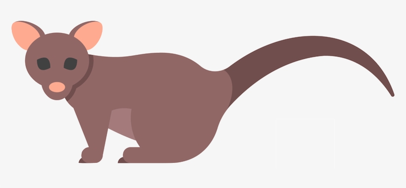 Possum Cartoon - Free Transparent PNG Download - PNGkey
