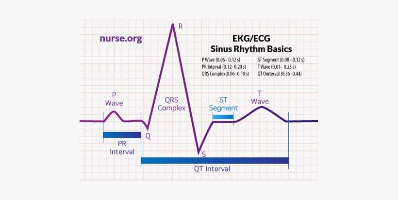Knowing The Normal Amplitude, Deflection, And Duration - Ecg Reading ...