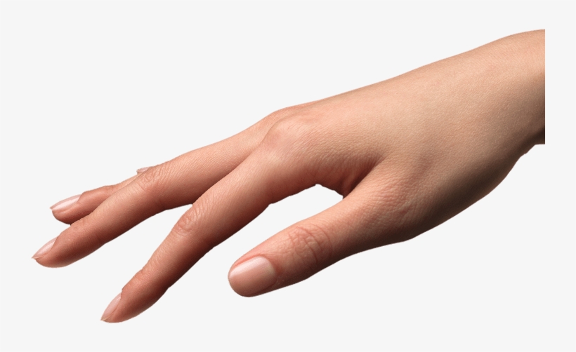 Hand Reaching In Png - Free Transparent PNG Download - PNGkey