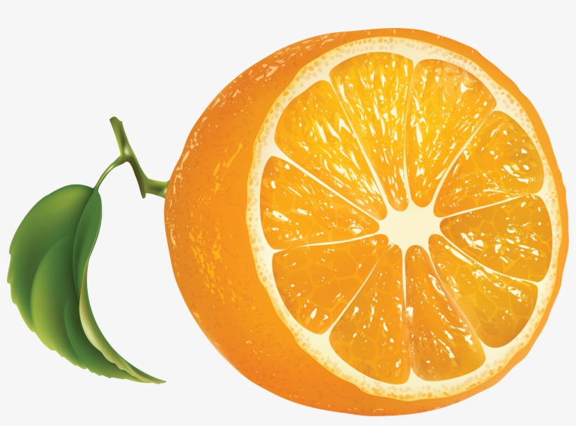 Half Sun Vector Clip Art Royalty Free 1268 Half Sun - Cut Orange Png ...