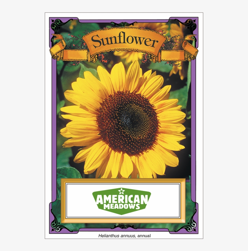Packet Of Flower Seeds - Free Transparent PNG Download - PNGkey