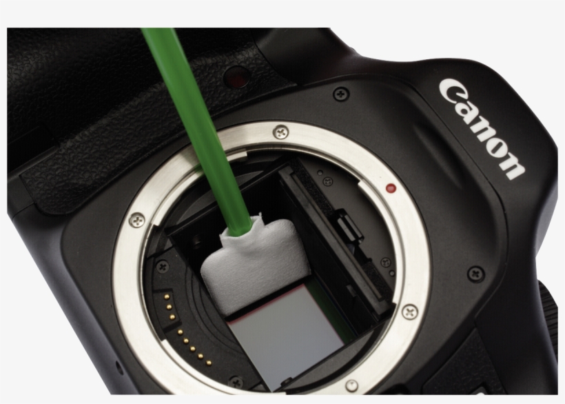 White Spot On Dslr Sensor - Free Transparent PNG Download - PNGkey