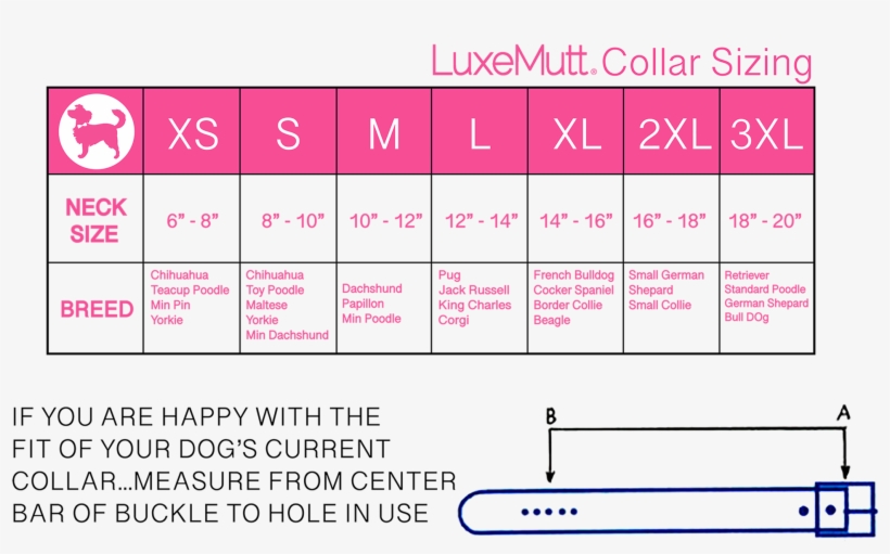 Size Chart - Inventory - Free Transparent PNG Download - PNGkey