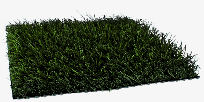 Outdoor Fields - Lawn - Free Transparent PNG Download - PNGkey
