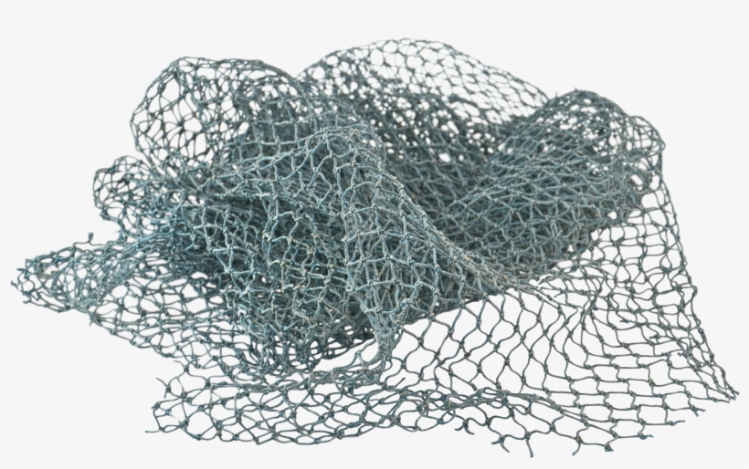 Aqua Teal Marine Fishing - Transparent Fish Net Png - Free Transparent ...