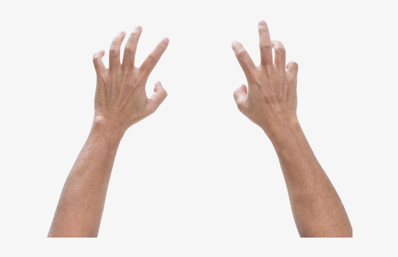 Arms And Hands Png Picture Library Stock - Free Transparent PNG ...