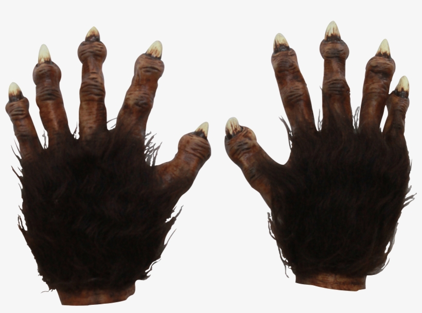 Wolf Hands - Free Transparent PNG Download - PNGkey