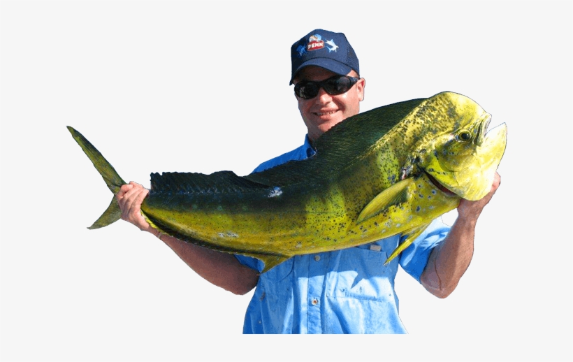 1 - Big-game Fishing - Free Transparent PNG Download - PNGkey