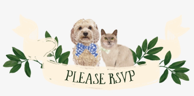 Rsvp - Portable Network Graphics - Free Transparent PNG Download - PNGkey