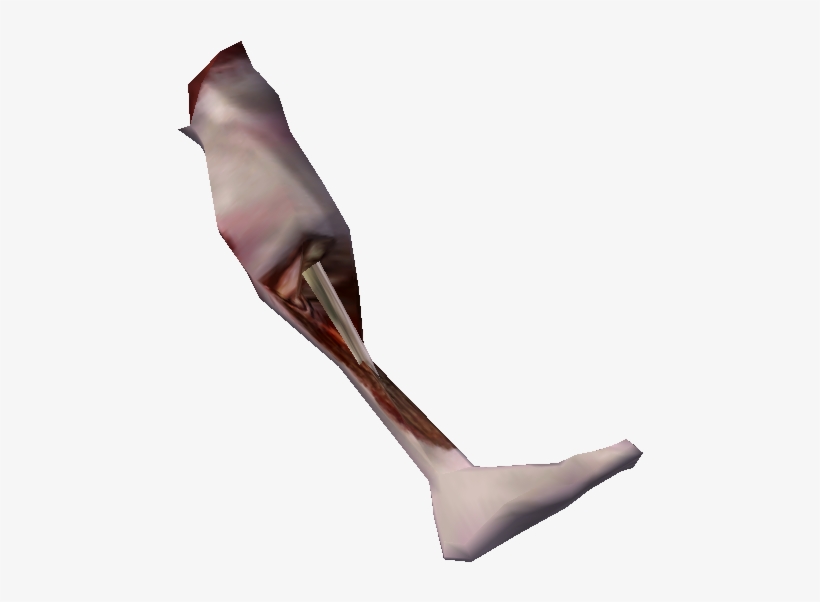 Severed Nord Leg - Leg Png - Free Transparent PNG Download - PNGkey