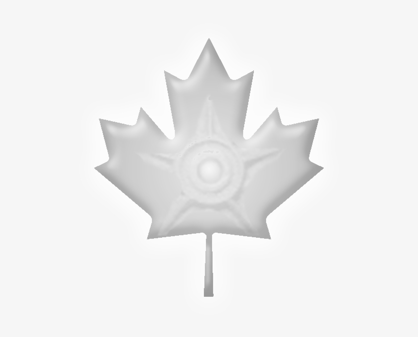 Silver Wiki-maple Leaf - Light - Free Transparent PNG Download - PNGkey